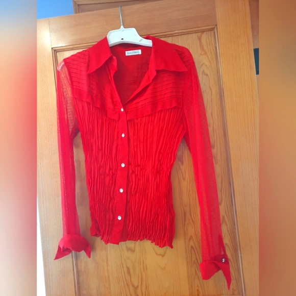 kaelyn max | Tops | Vintage Sheer To Semi Sheer Red Fancy Blouse ...